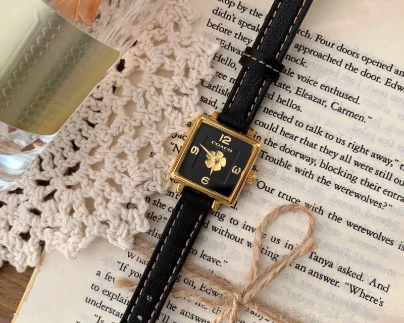 Factory-made COACH Watches
