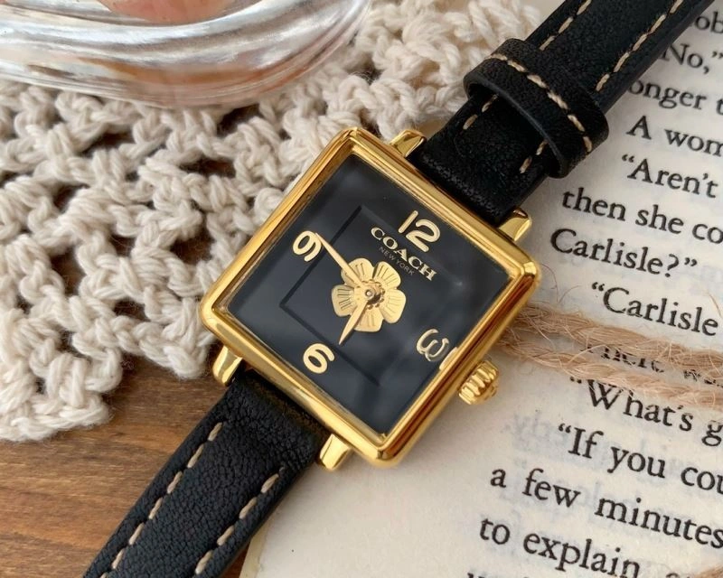 Factory-made COACH Watches