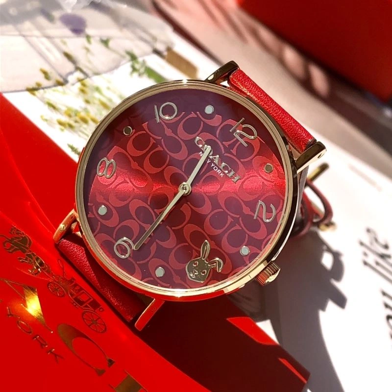 Low-cost COACH Watches