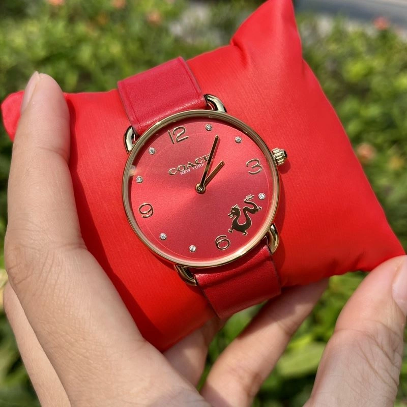 Inexpensive COACH Watches