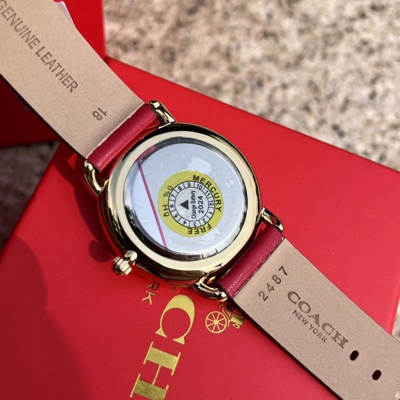 Inexpensive COACH Watches