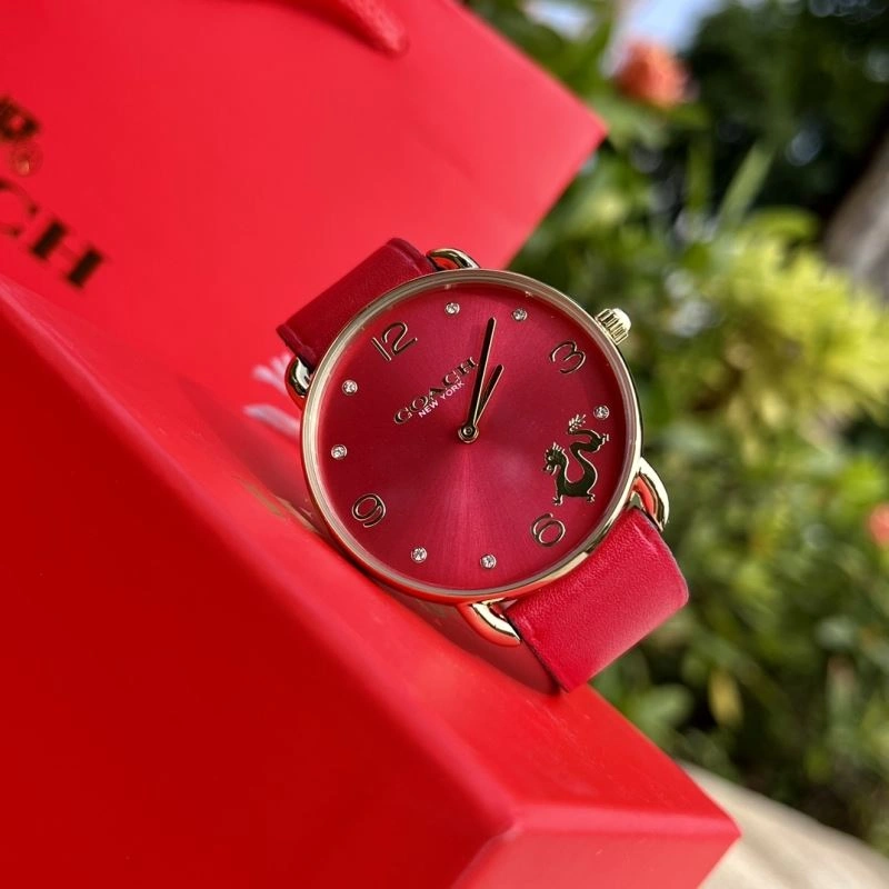 Inexpensive COACH Watches