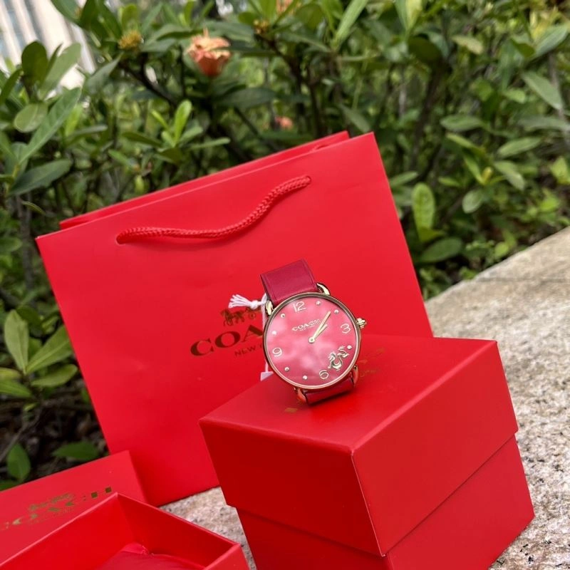 Inexpensive COACH Watches