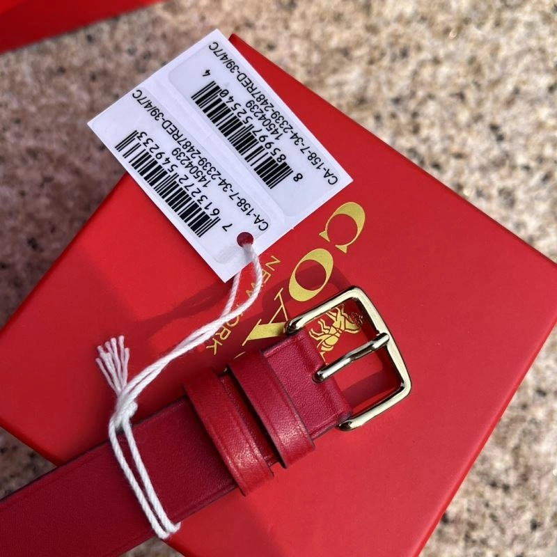 Inexpensive COACH Watches