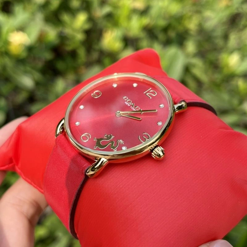 Inexpensive COACH Watches