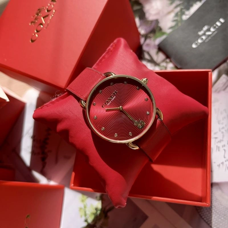 COACH Watches