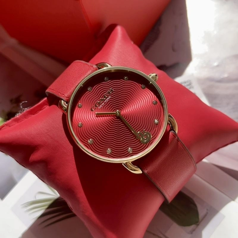 Reasonably priced COACH Watches