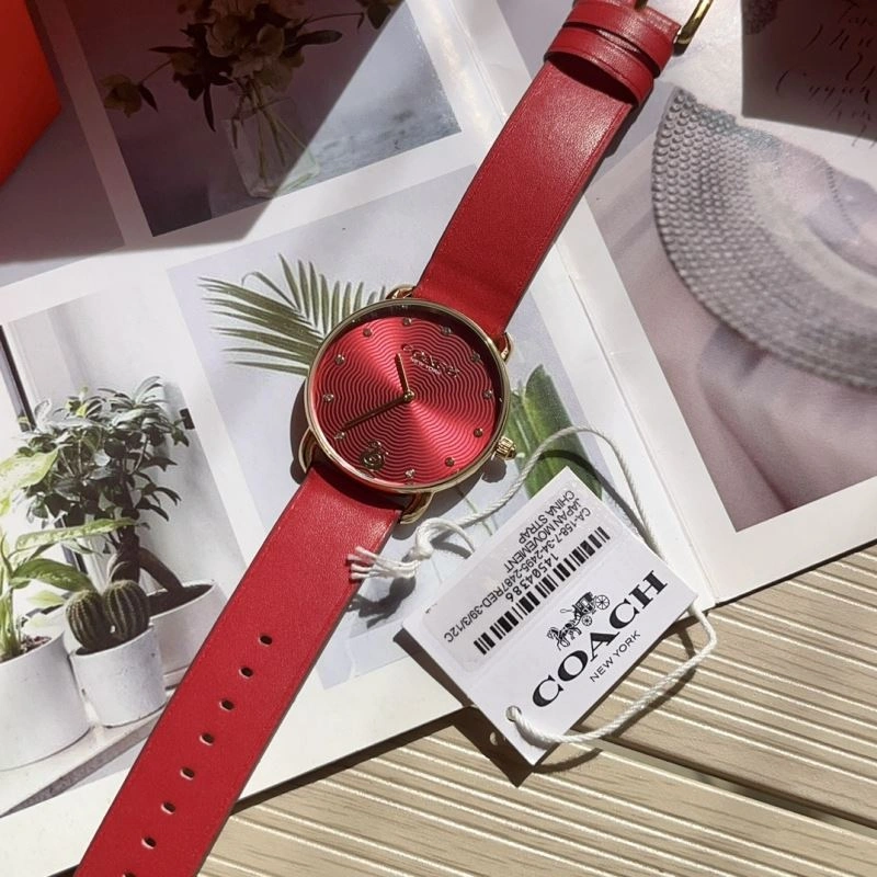 Reasonably priced COACH Watches