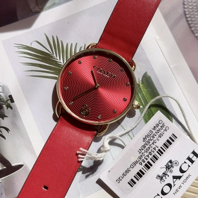 Reasonably priced COACH Watches