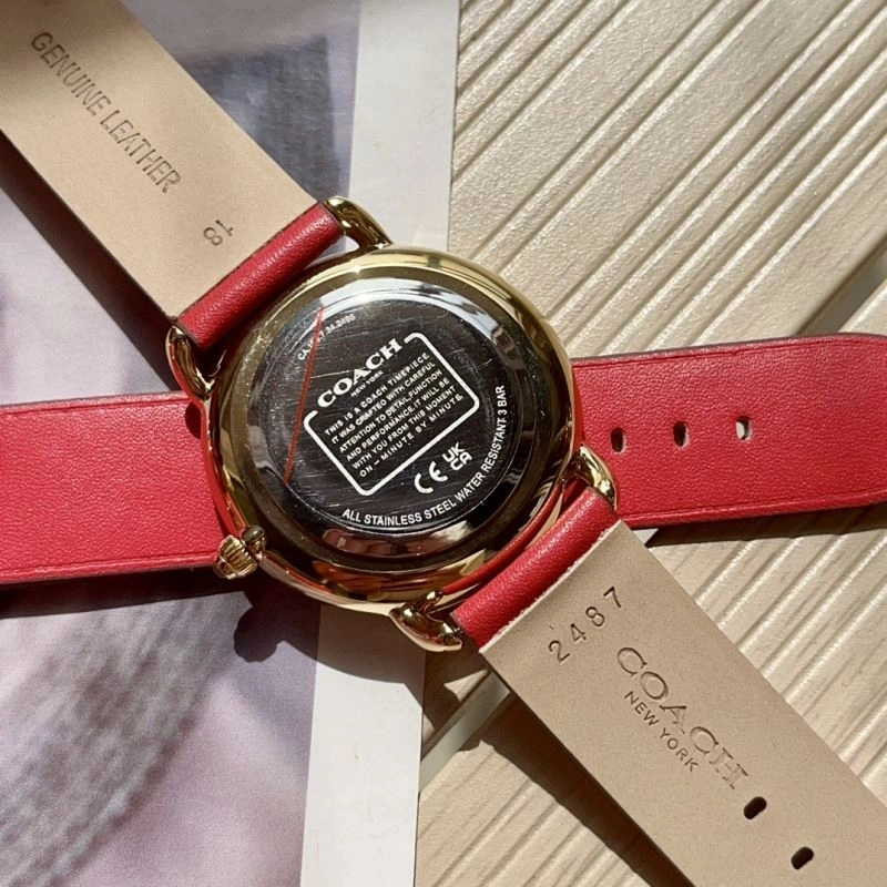 Reasonably priced COACH Watches