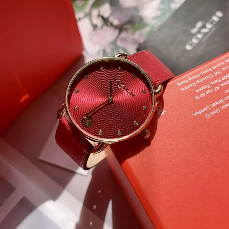 Reasonably priced COACH Watches