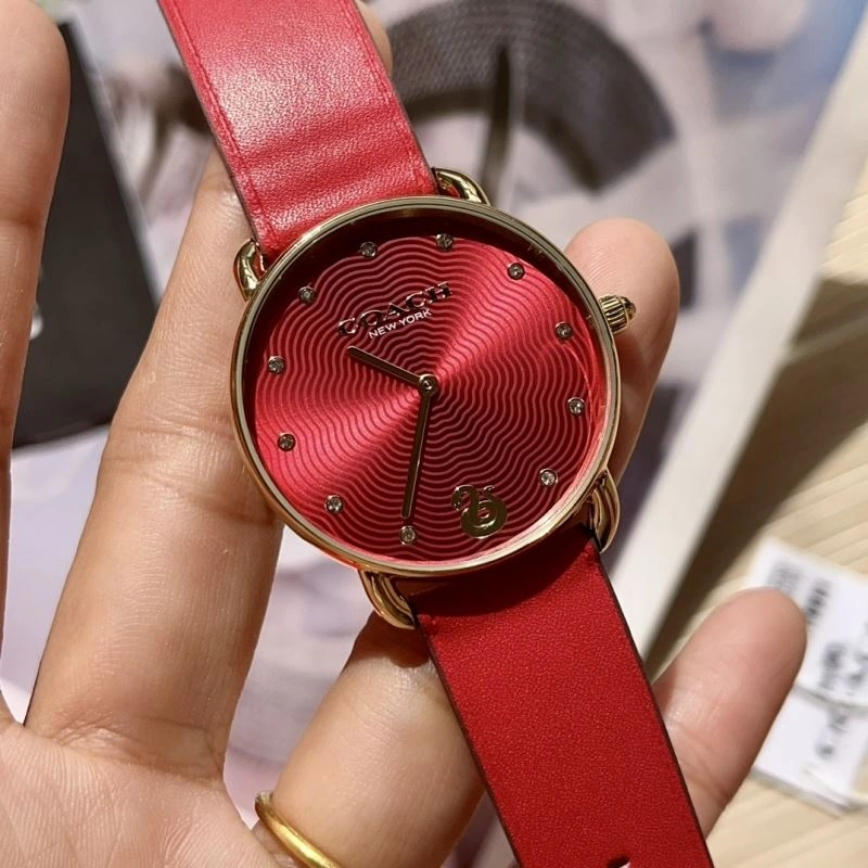 Reasonably priced COACH Watches