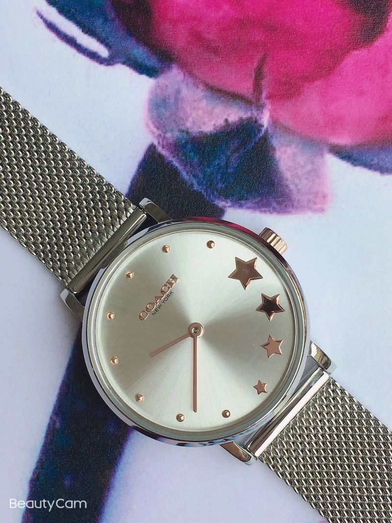 Inexpensive COACH Watches