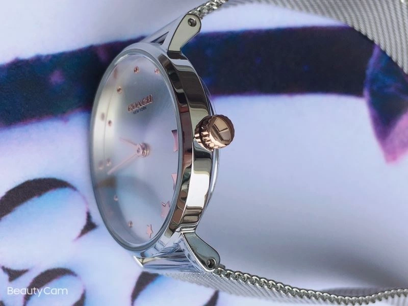 Inexpensive COACH Watches
