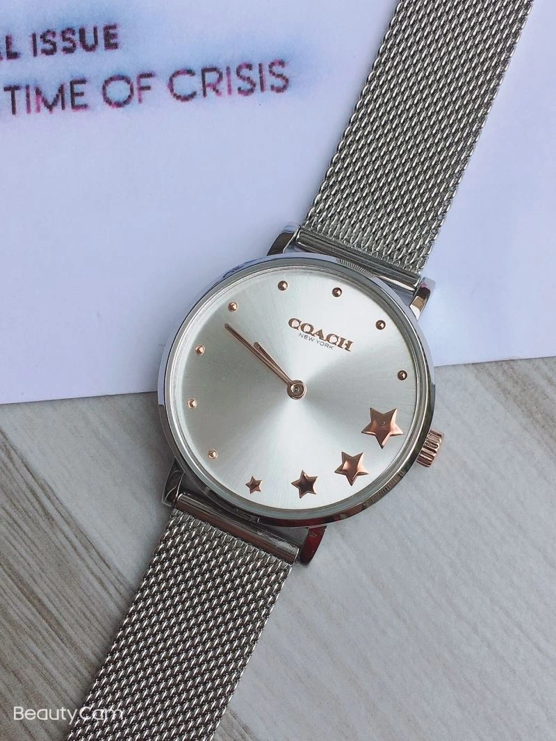 Inexpensive COACH Watches