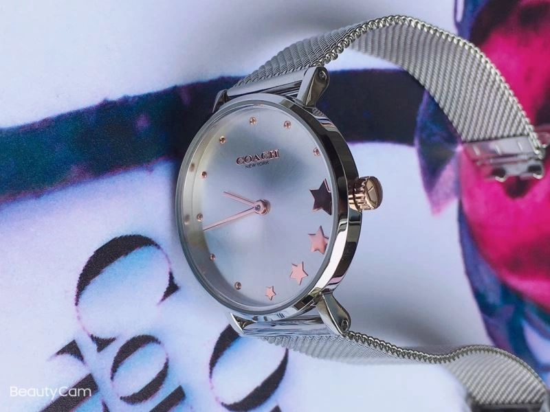Inexpensive COACH Watches