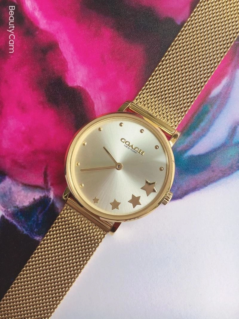 Affordable COACH Watches