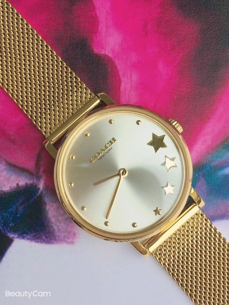 Affordable COACH Watches
