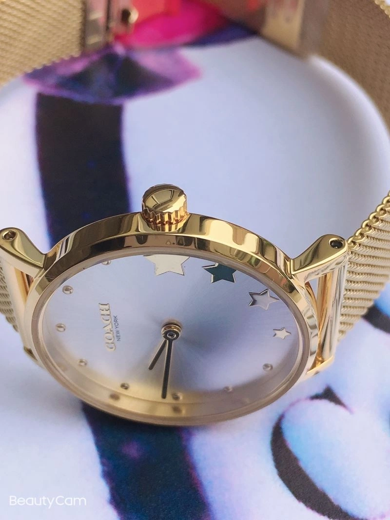 Affordable COACH Watches
