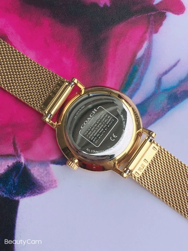 Affordable COACH Watches