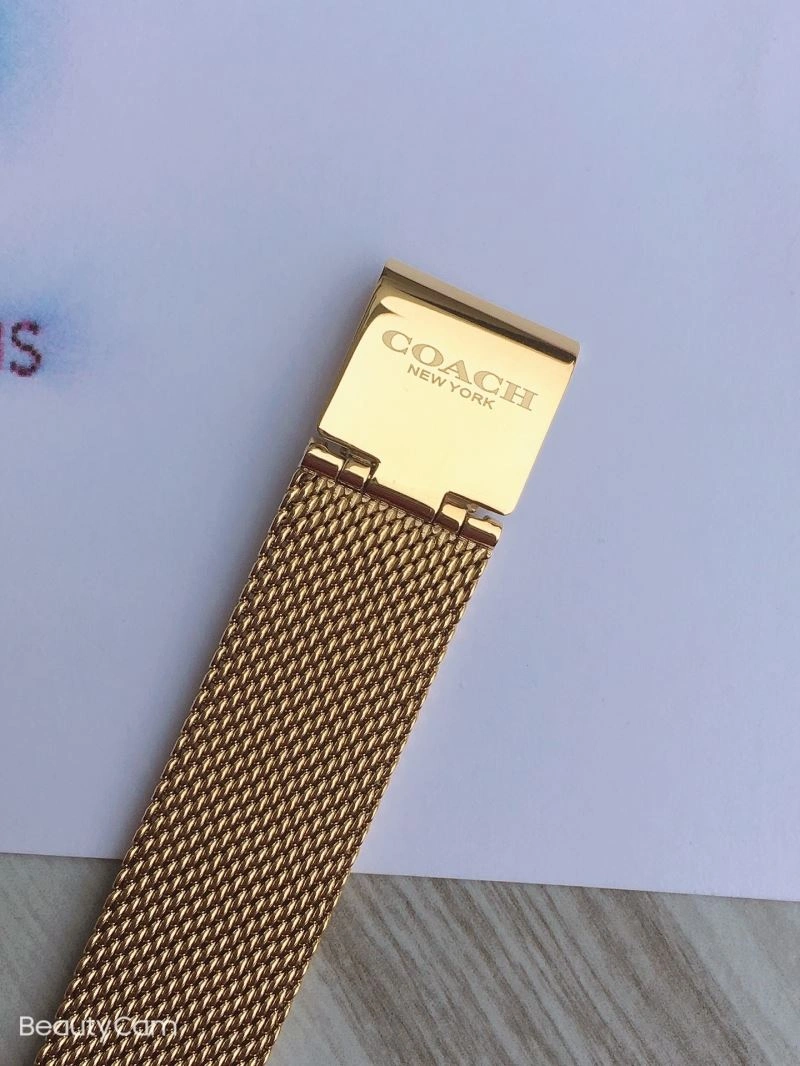 Affordable COACH Watches