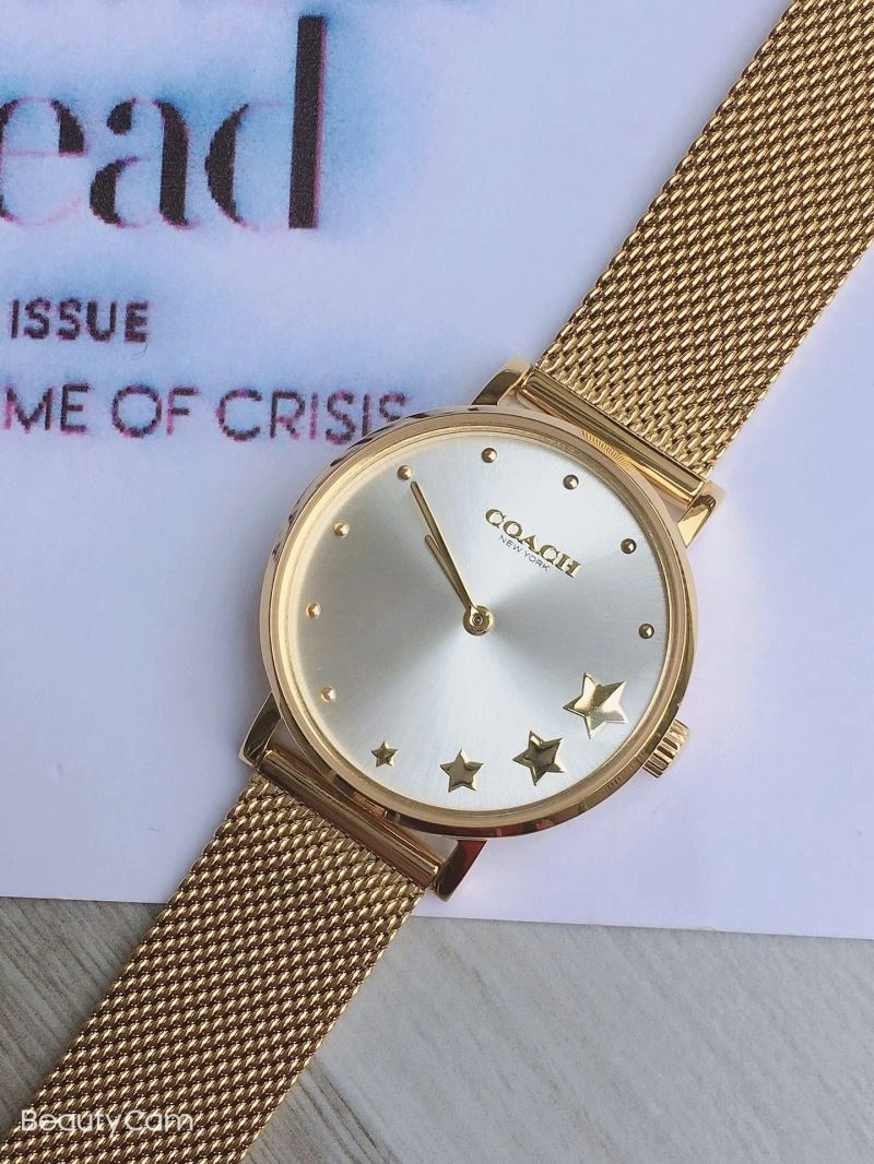 Affordable COACH Watches
