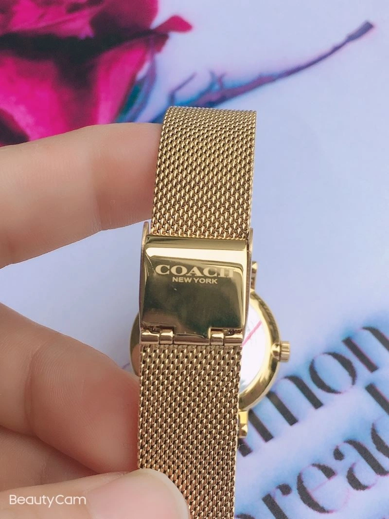 Affordable COACH Watches
