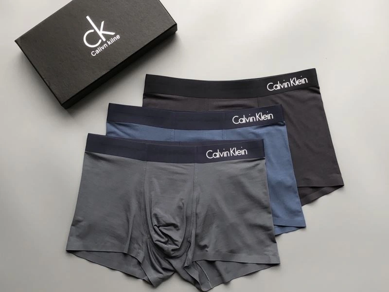High fidelity Calvin Klein Underwear