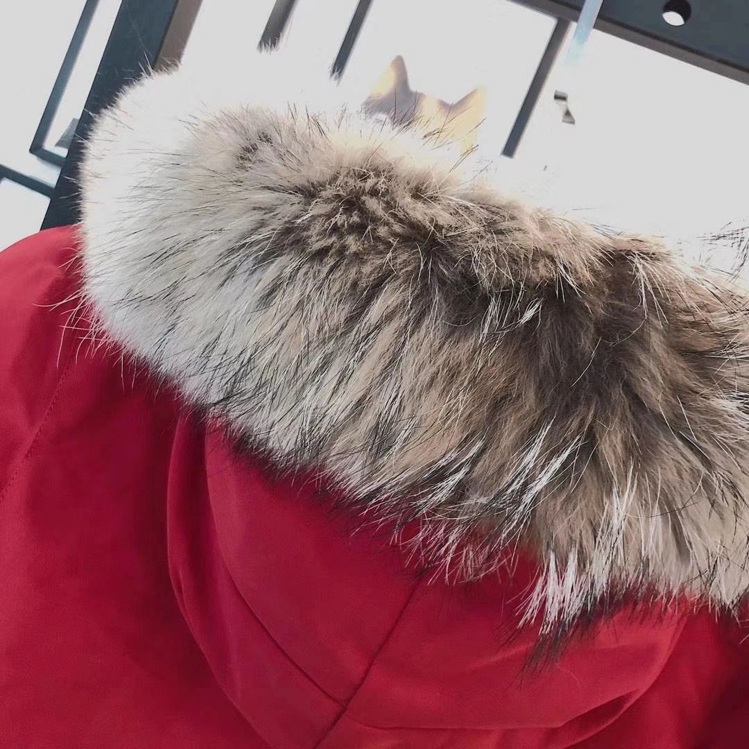 Value-priced Canada Goose Down Jackets