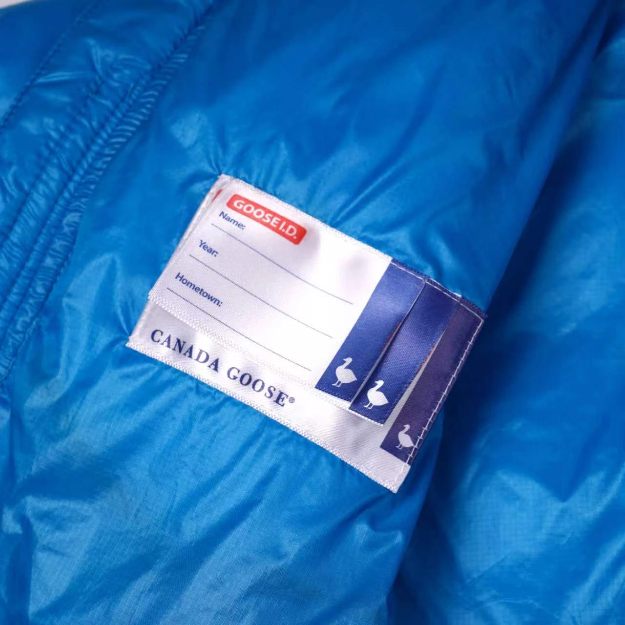 Budget-friendly Canada Goose Down Jackets