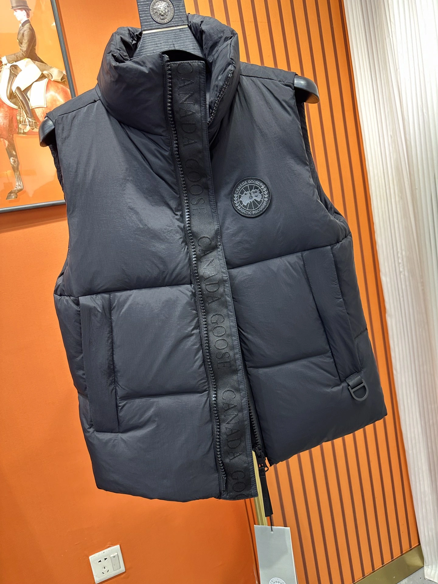 Indistinguishable Canada Goose Down Jackets
