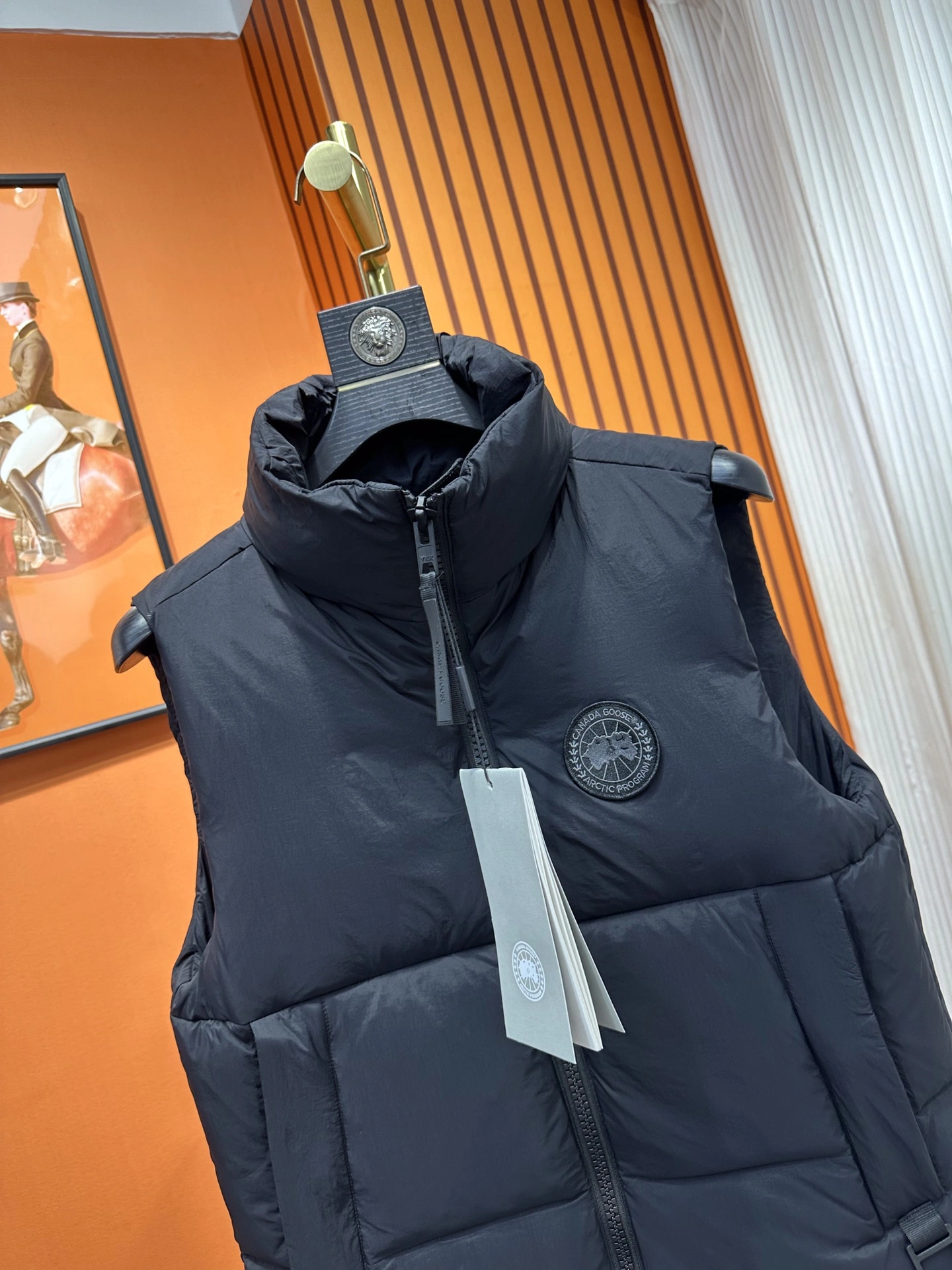 Indistinguishable Canada Goose Down Jackets
