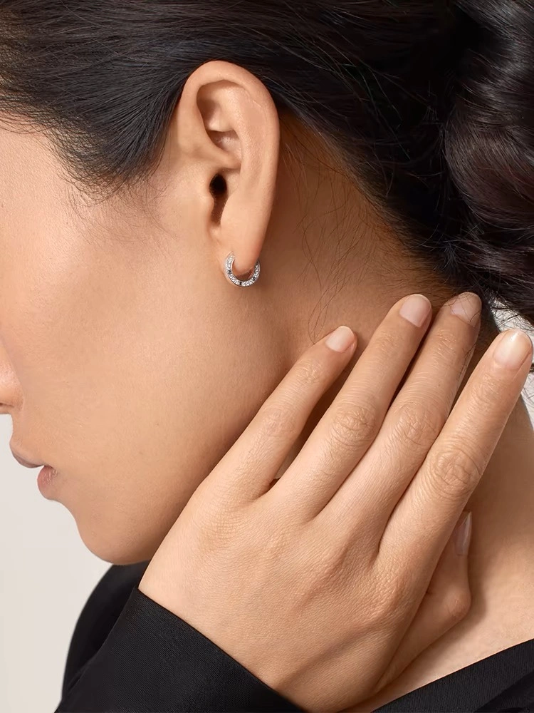Brand-authenticated Cartier Earrings