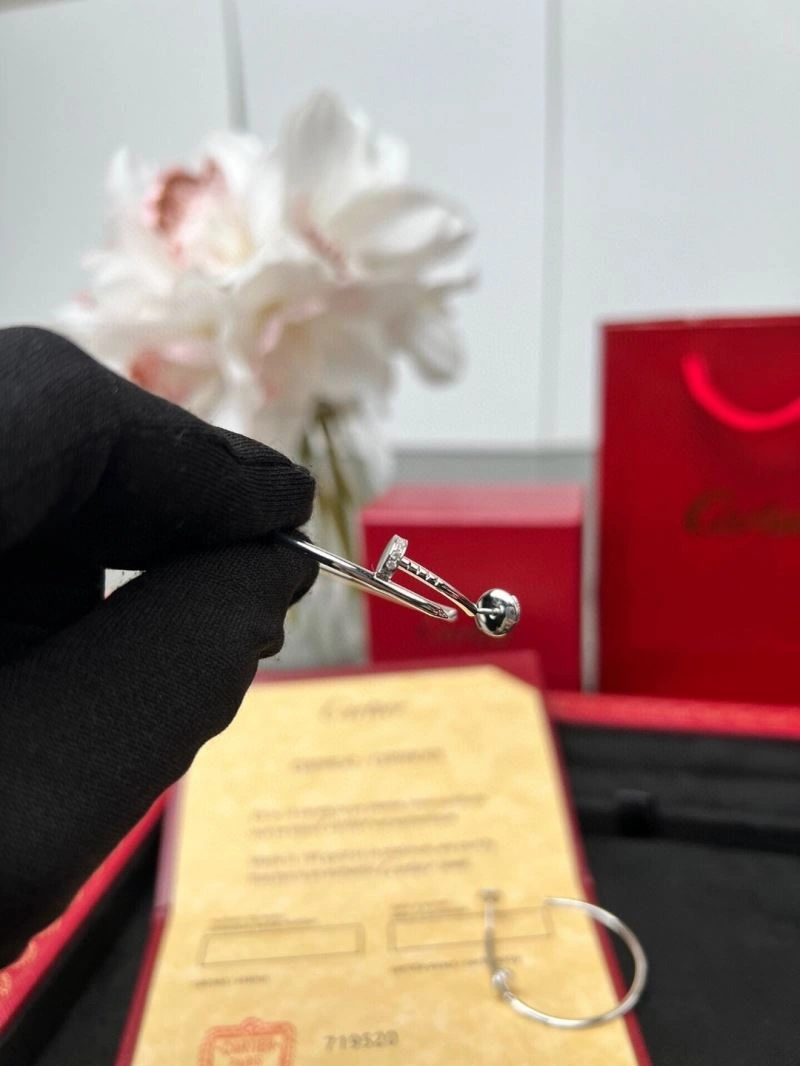 High accuracy Cartier Earrings