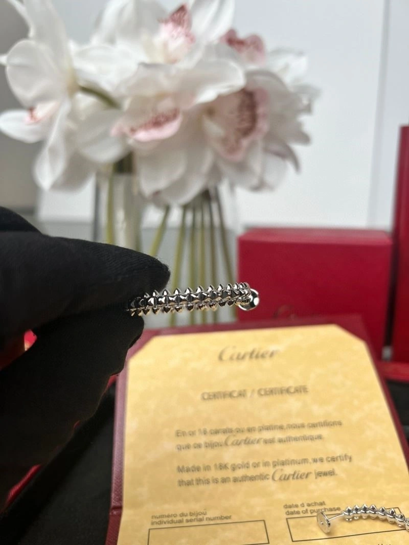 High accuracy Cartier Earrings