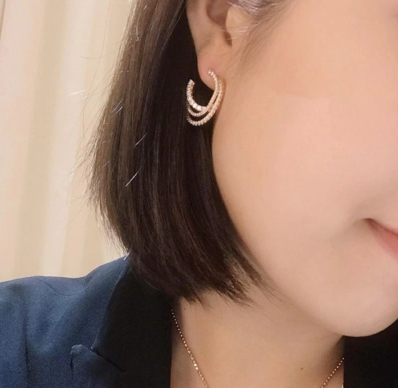 Accurate model Cartier Earrings
