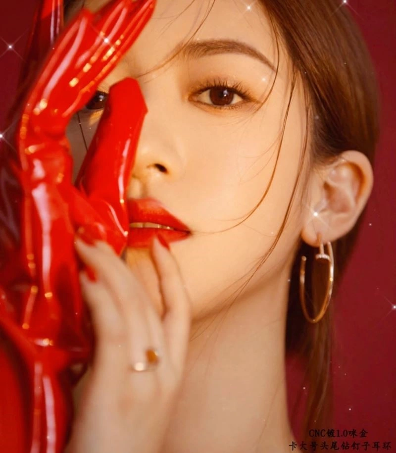 Cartier Earrings