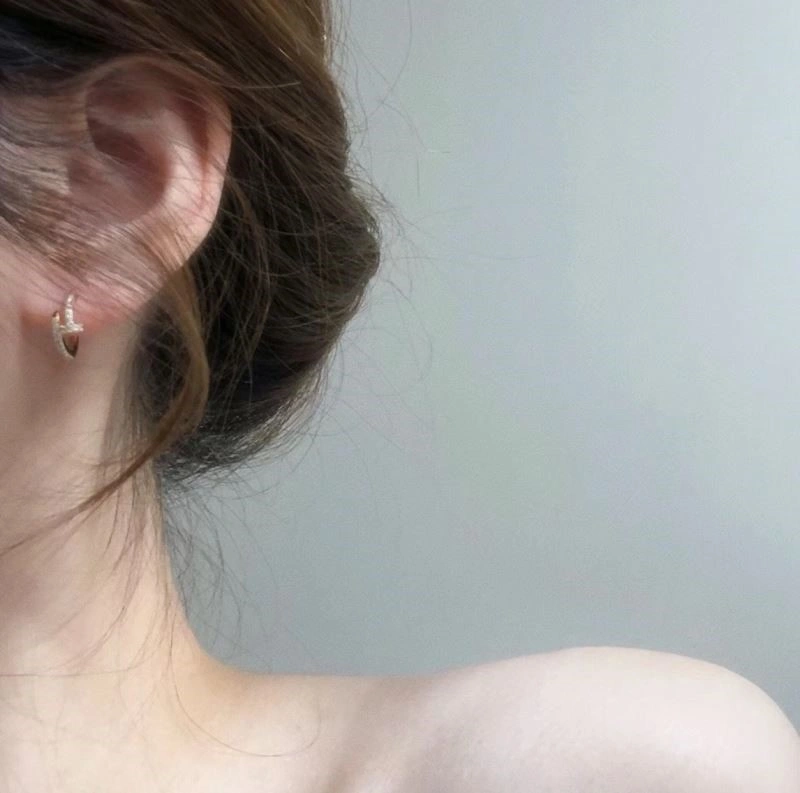 Top mirror Cartier Earrings