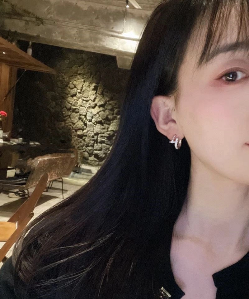 Cut-rate Cartier Earrings
