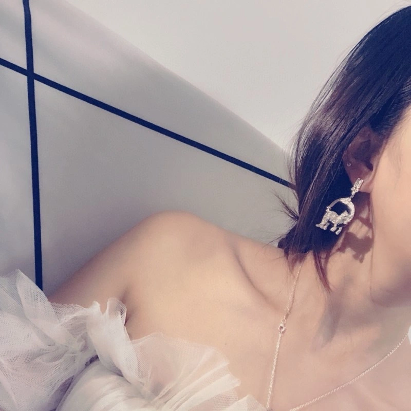 Value-priced Cartier Earrings
