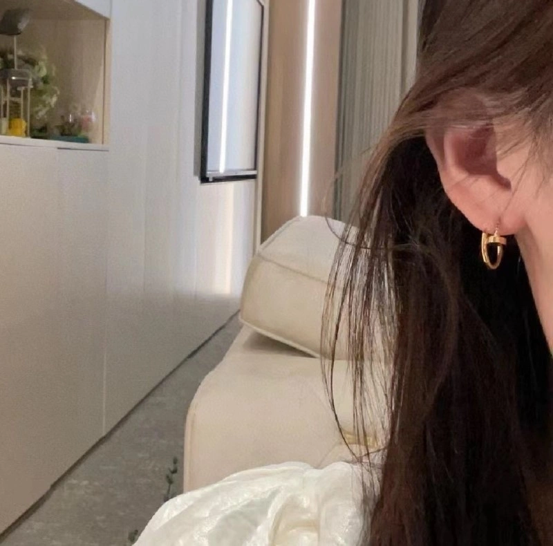 Cut-rate Cartier Earrings