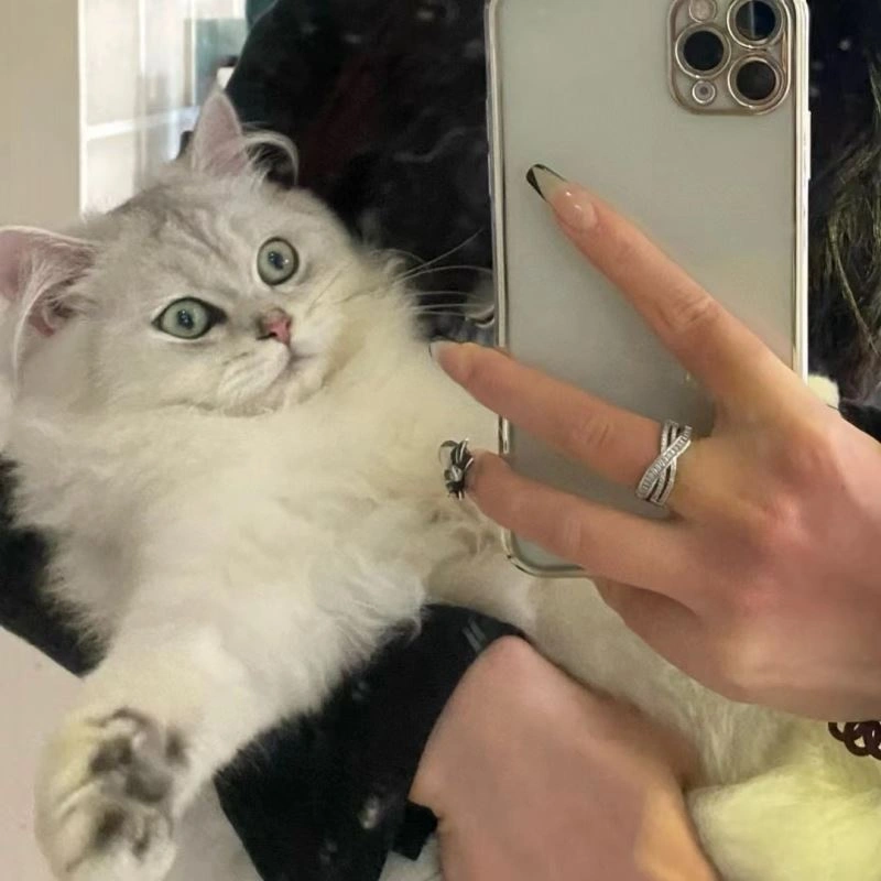 Top mirror Cartier Rings