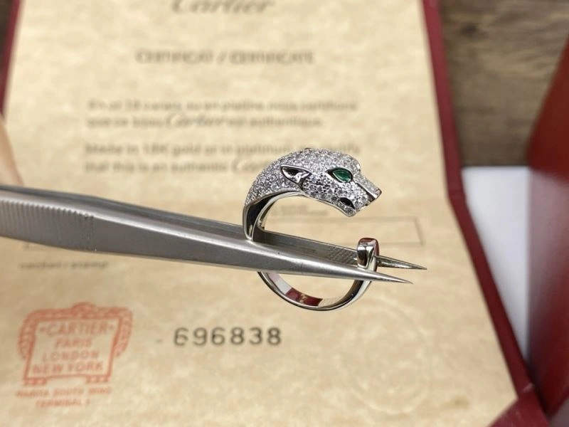 Indistinguishable Cartier Rings
