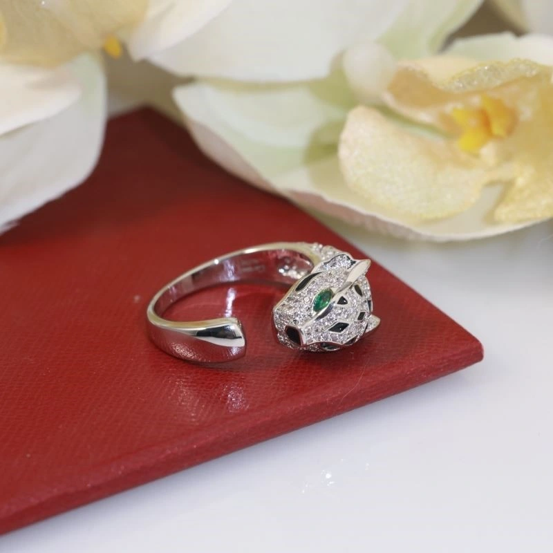 Indistinguishable Cartier Rings
