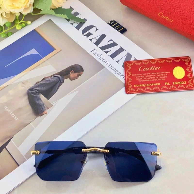 Bargain Cartier Sunglasses
