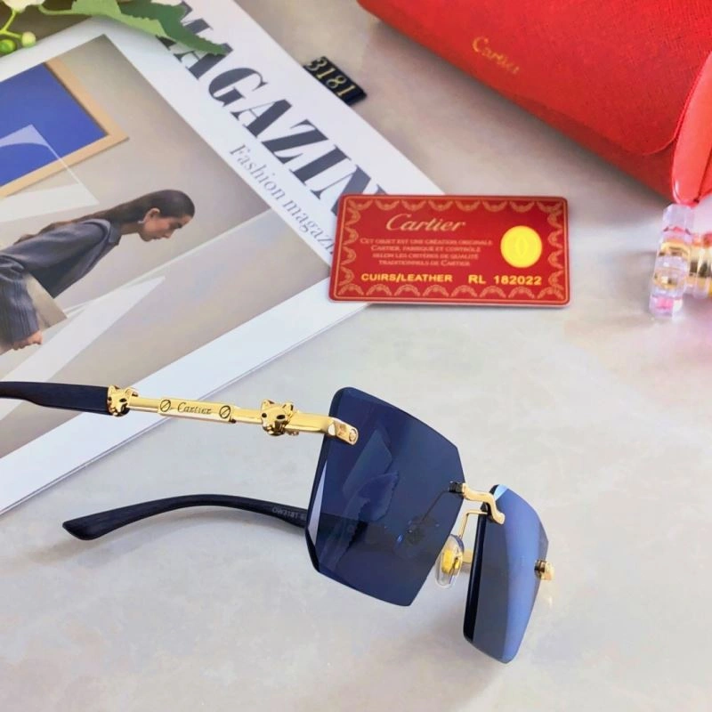 Bargain Cartier Sunglasses