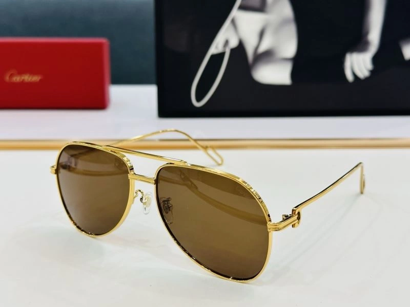 Indistinguishable Cartier Sunglasses