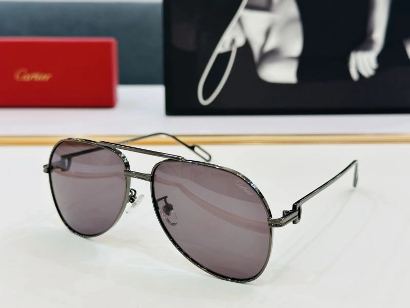 Indistinguishable Cartier Sunglasses