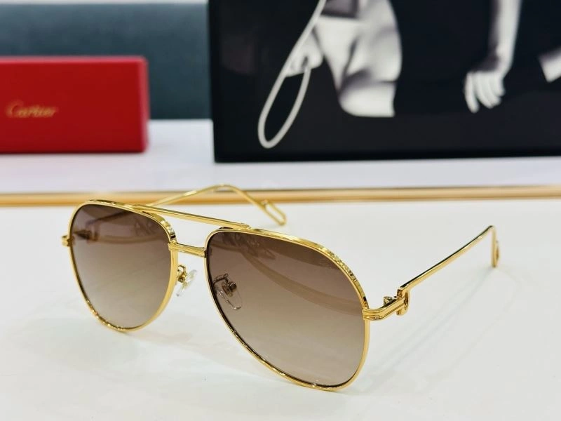 Indistinguishable Cartier Sunglasses