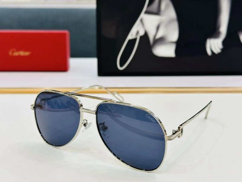 Indistinguishable Cartier Sunglasses